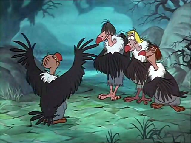 When the young buzzard came to town